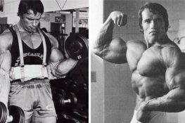 Visual Impact Muscle Building Review – Is it a Scam? - Fitness | 2025