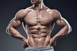 Visual Impact Muscle Building Review – Is it a Scam? - Fitness | 2025